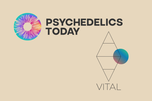 Explore Collaborations With Kiyumi – Partners & Facilitators